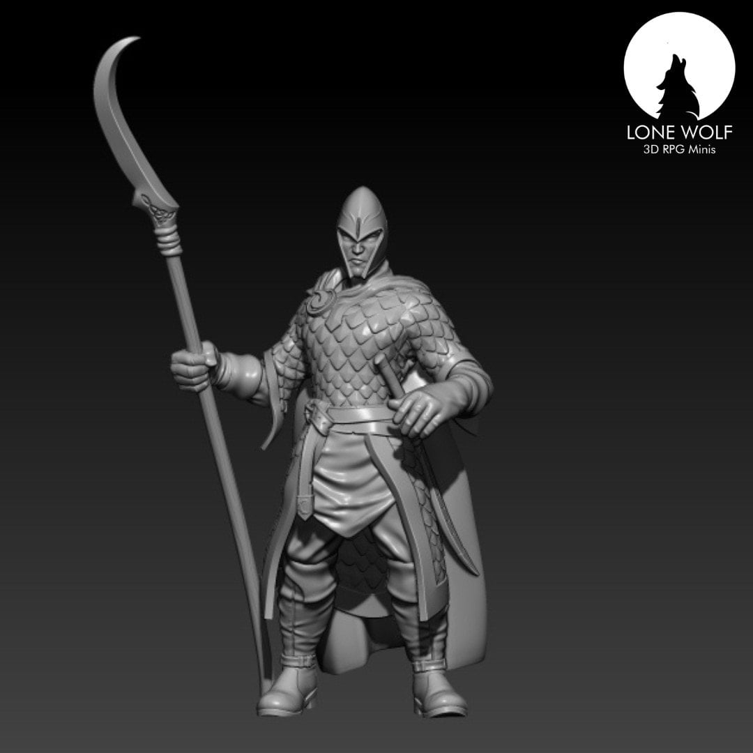 The Aes Sidhe Soldier with Spear by Lone Wolf - MiniHoarder