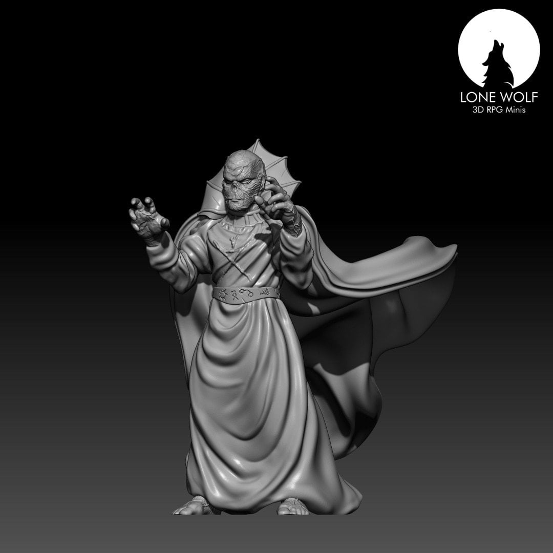 Ildarion, the necromancer by Lone Wolf - MiniHoarder