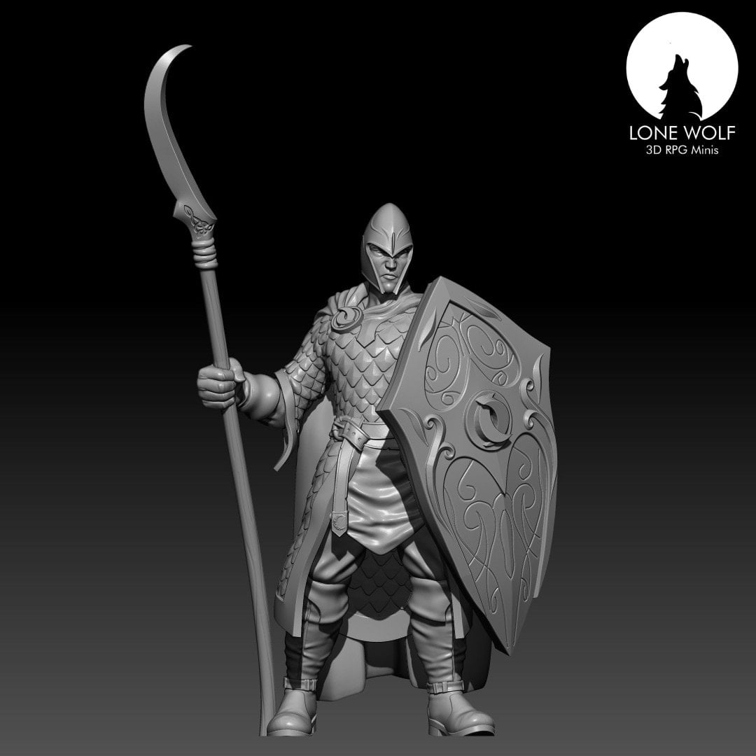 The Aes Sidhe Soldier with spear and shield by Lone Wolf - MiniHoarder
