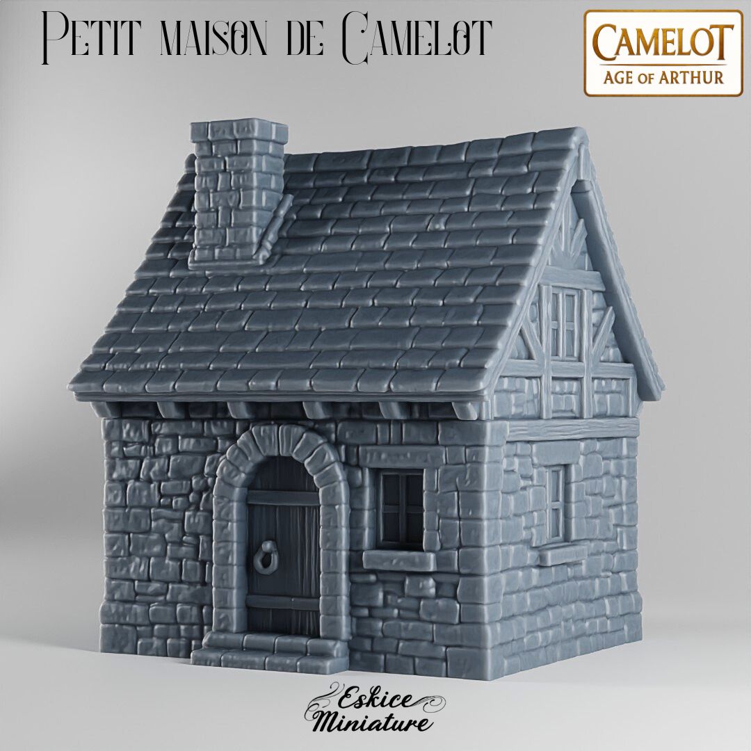 Houses of Camelot PACK - 28mm fdm friendly by Eskice Miniature ...