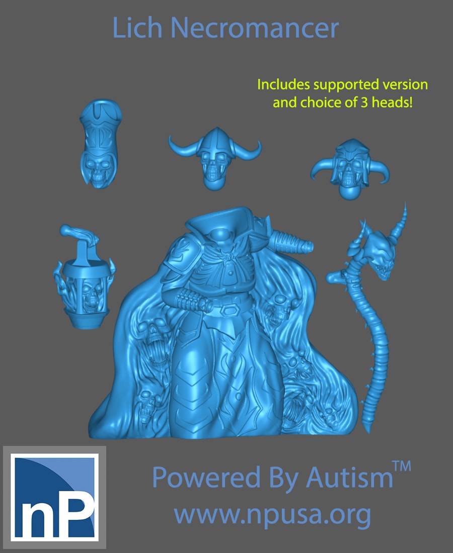 Lich / Undead Sorcerer / Necromancer by nonPareil Institute ...