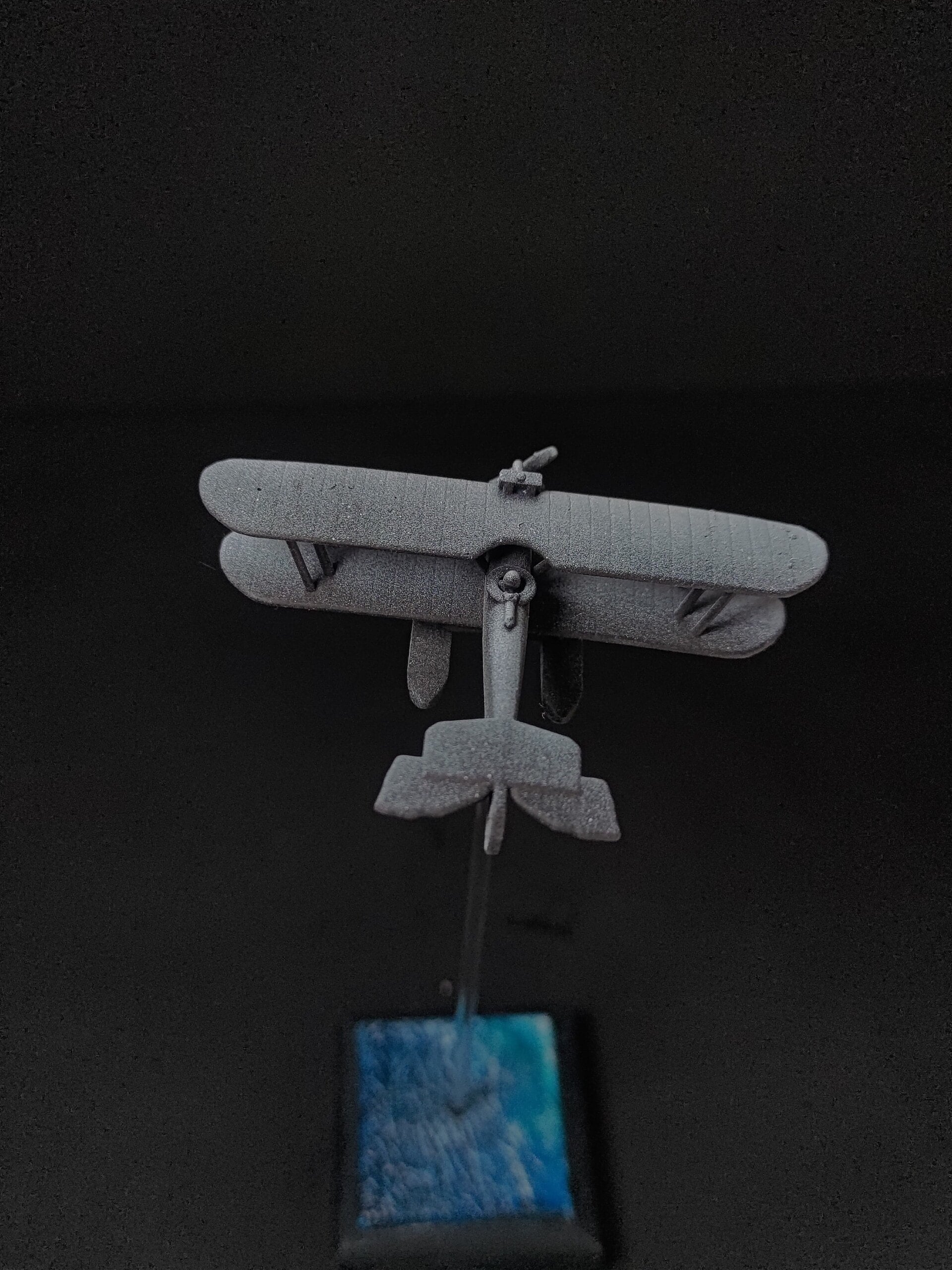 SEAPLANE Hansa-Brandenburg W12 (WW1, Germany) by Wargame3D - Wargaming3D